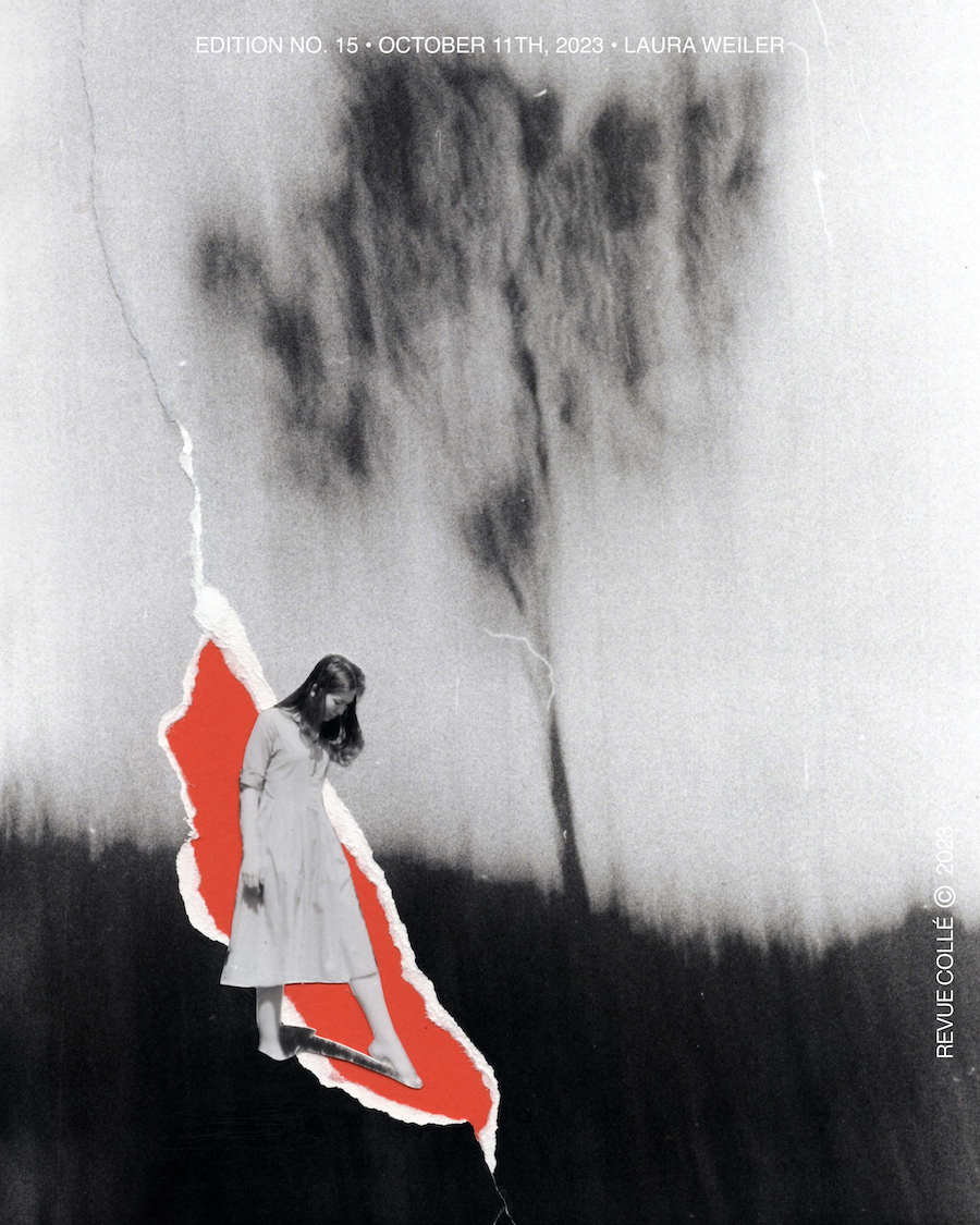 ISSUE NO. 15 - Laura Weiler | Collé